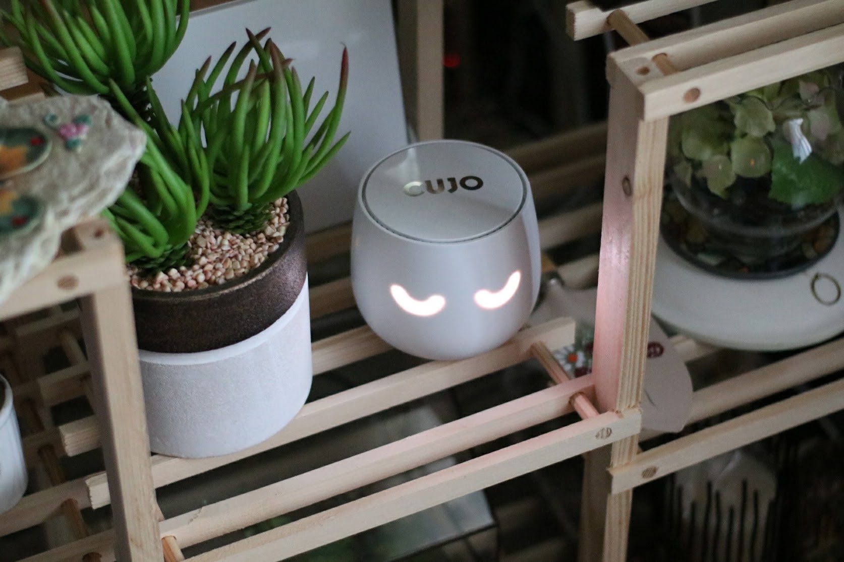 Review: Cujo Smart Firewall - Cute Tech, Big Protection for Connected ...