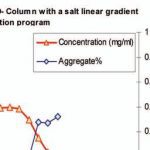 Monoclonal Antibody Production and Purification Methods - InfiniGEEK